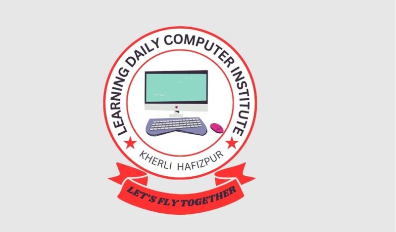 LEARNING DAILY COMPUTER INSTITUE